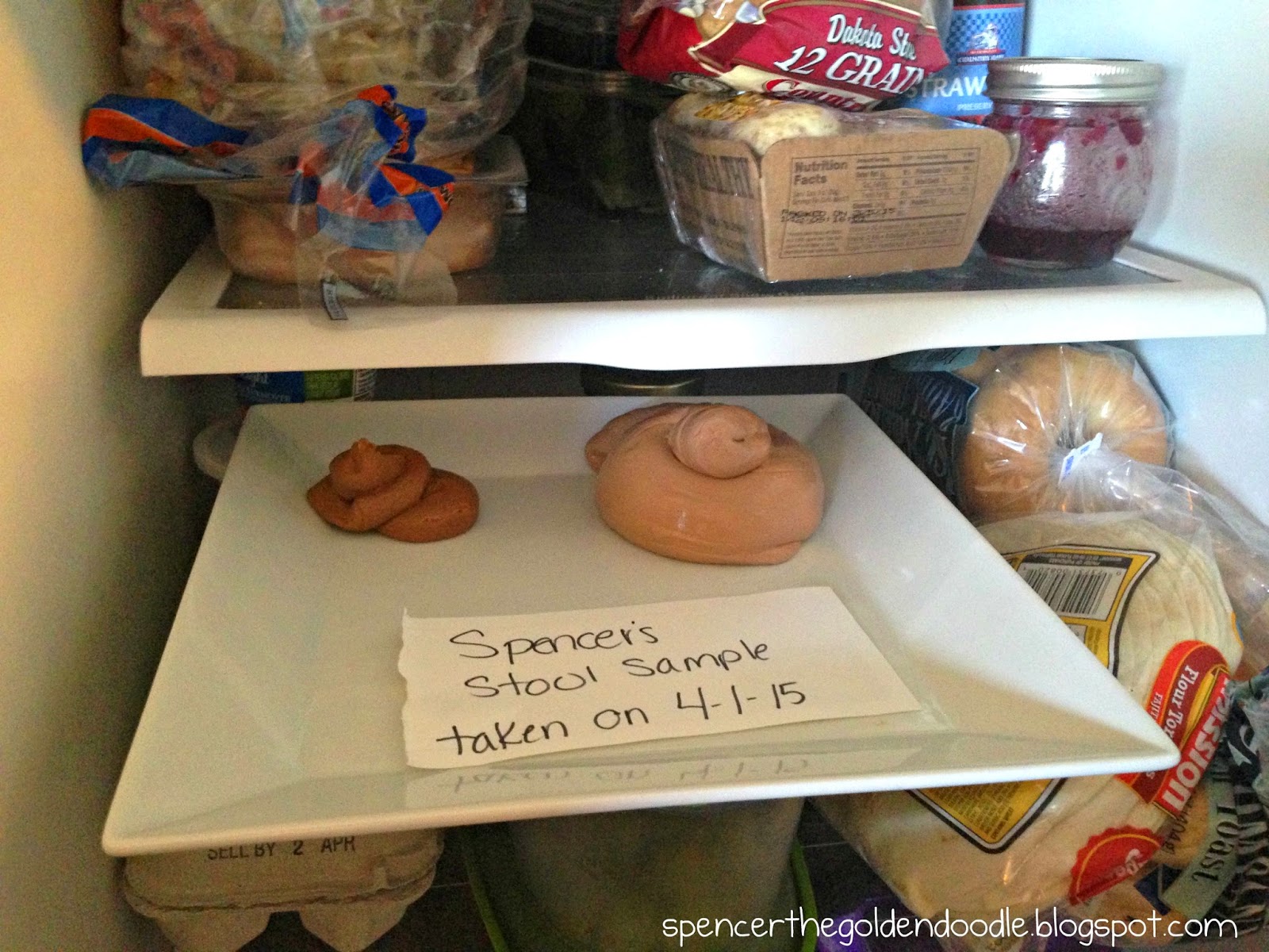 Spencer the Goldendoodle: April Fools Day Prank: DIY Dog Poop